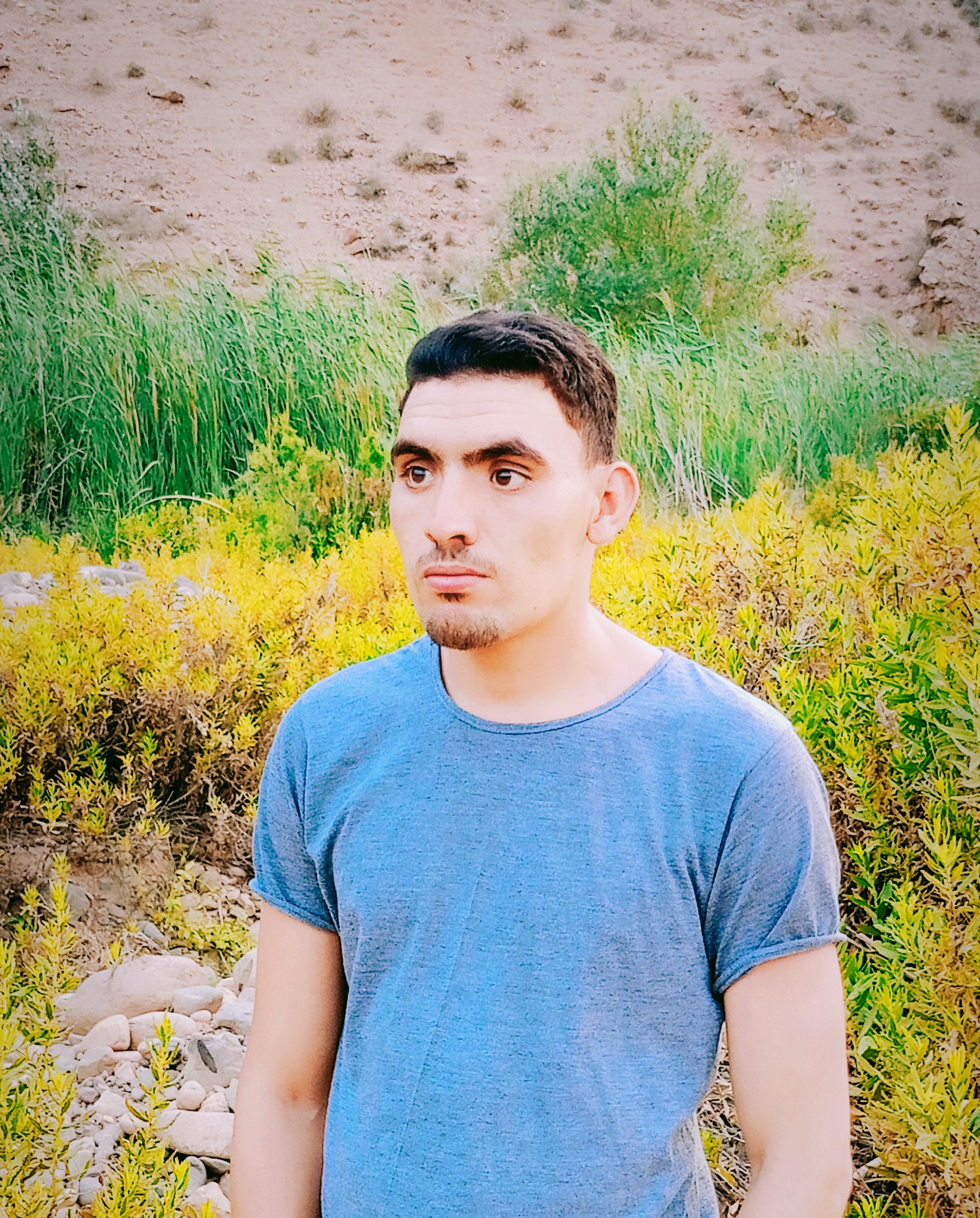 موقع للدهانات